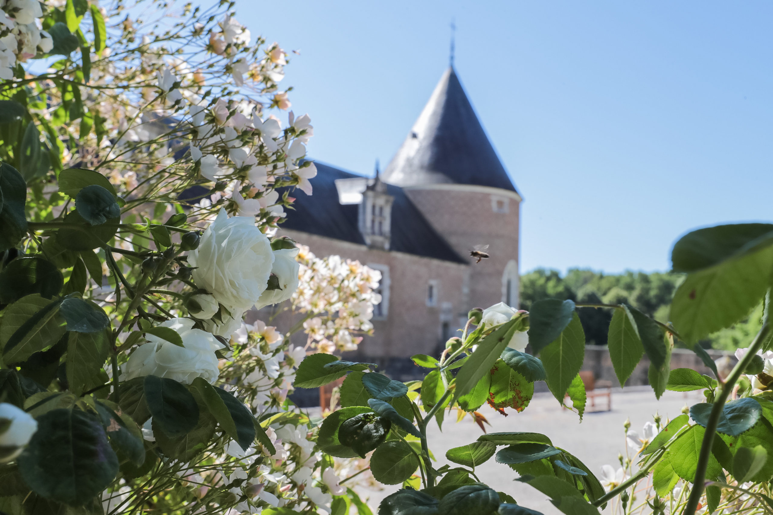 Le château de Chamerolles - La Route de la Rose du Loiret