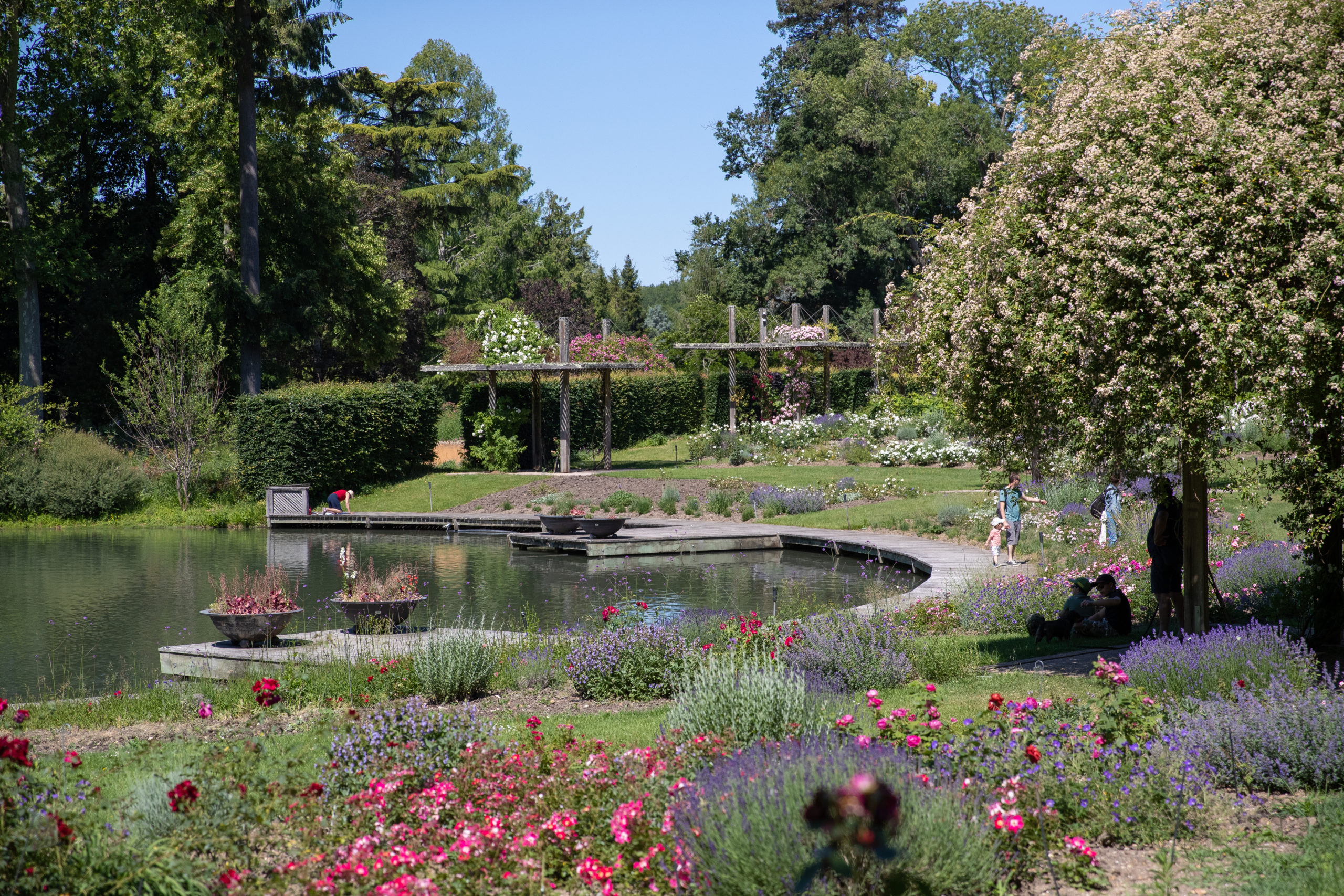 Parc floral de la Source, un des plus beaux jardins du Loiret